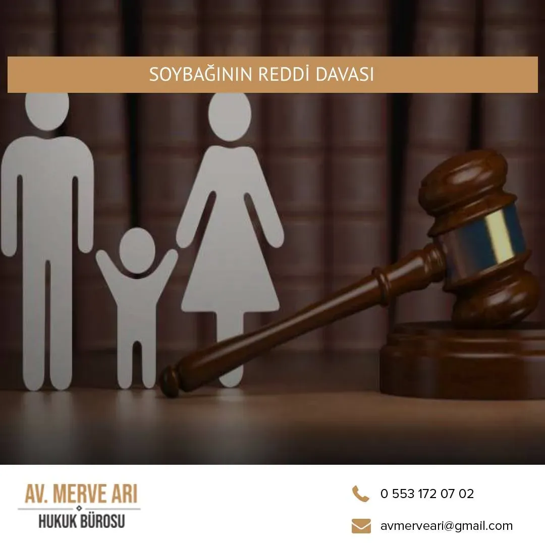 Soybağının Reddi Davası: Hangi Durumlarda Açılır?